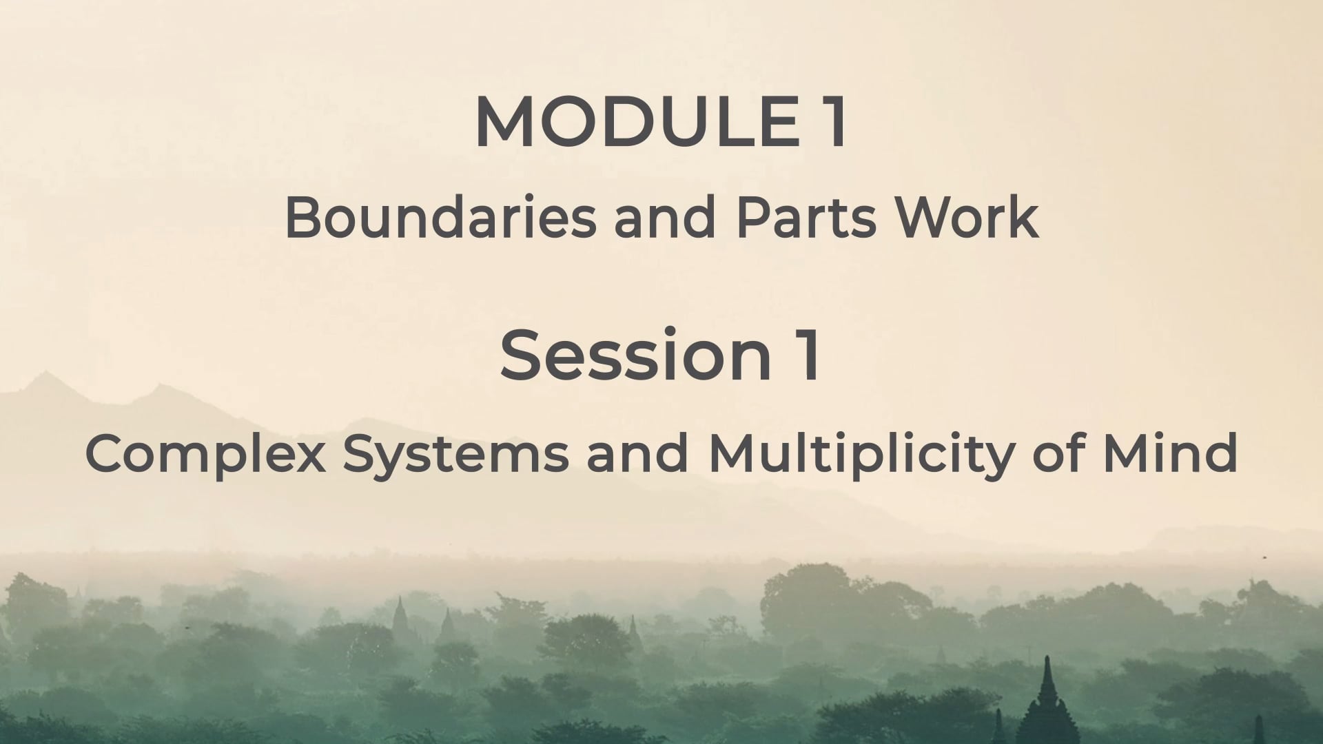 Module 1 - learn.therapywisdom.com